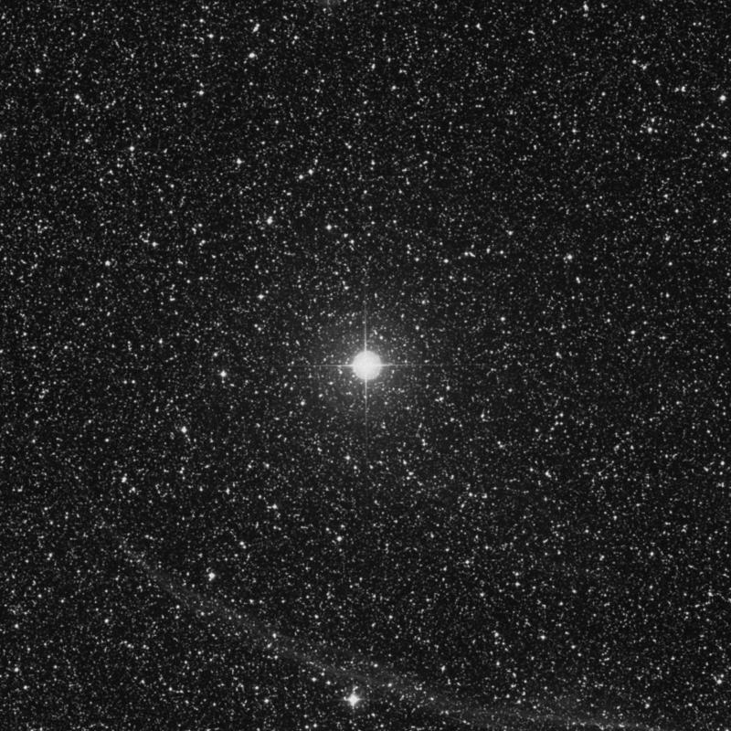 φ Cygni (phi Cygni) - Star in Cygnus | TheSkyLive
