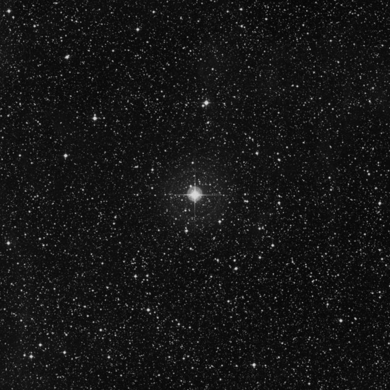 22 Cygni - Star in Cygnus | TheSkyLive