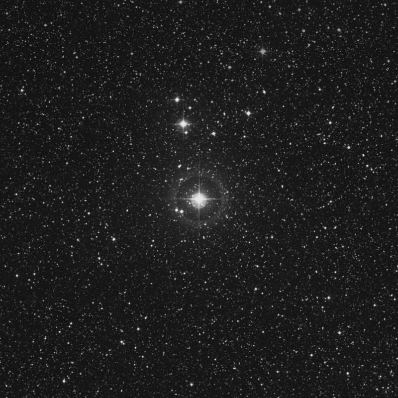13 Sagittae - Star in Sagitta | TheSkyLive