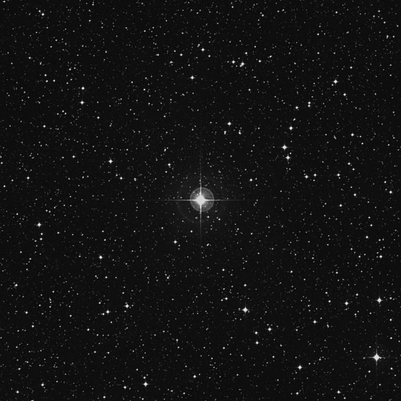 64 Aquilae - Star in Aquila | TheSkyLive