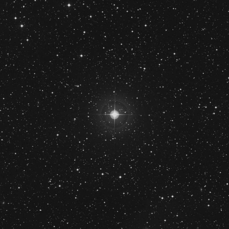 HR7742 - Star in Cepheus | TheSkyLive