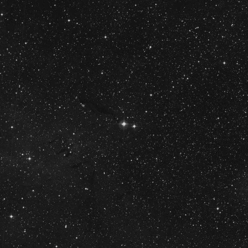 HR7782 - Star in Cygnus | TheSkyLive