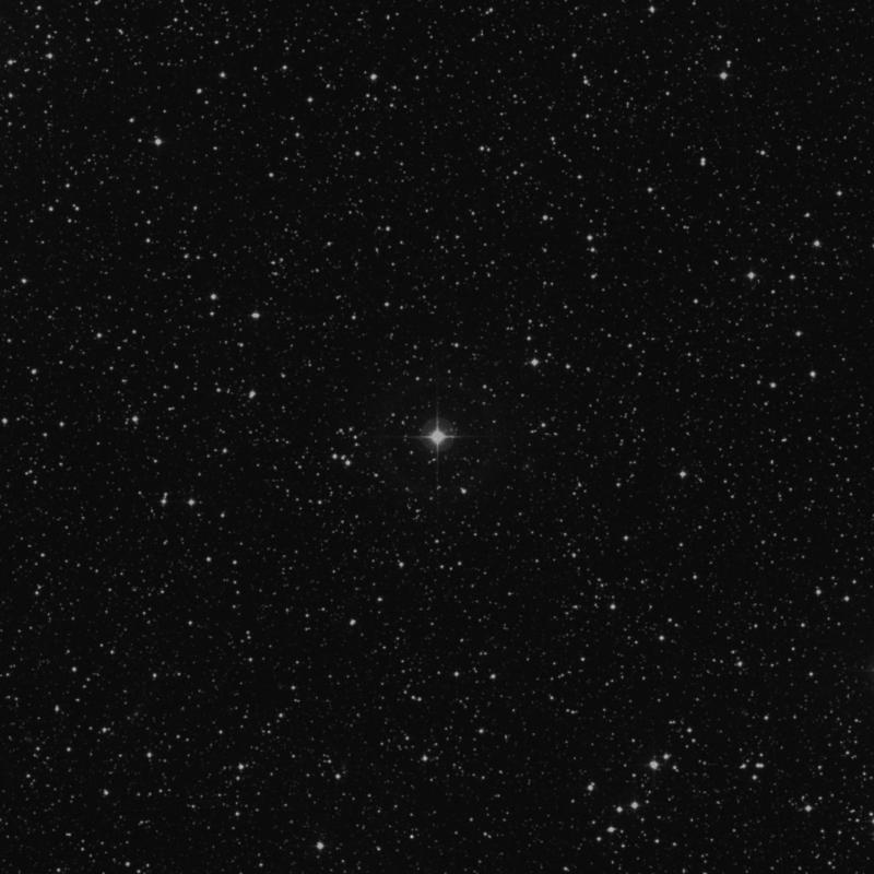HR7815 - Star in Cygnus | TheSkyLive