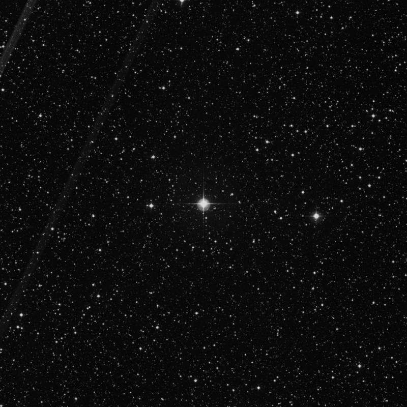 HR7854 - Star in Cygnus | TheSkyLive