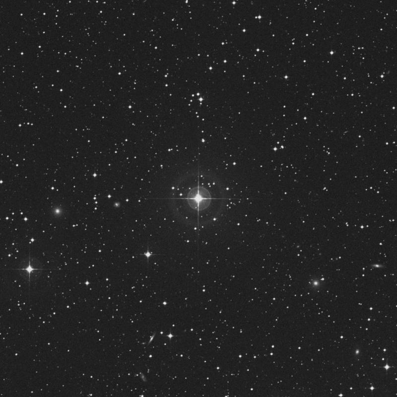 HR7877 - Star in Capricornus | TheSkyLive
