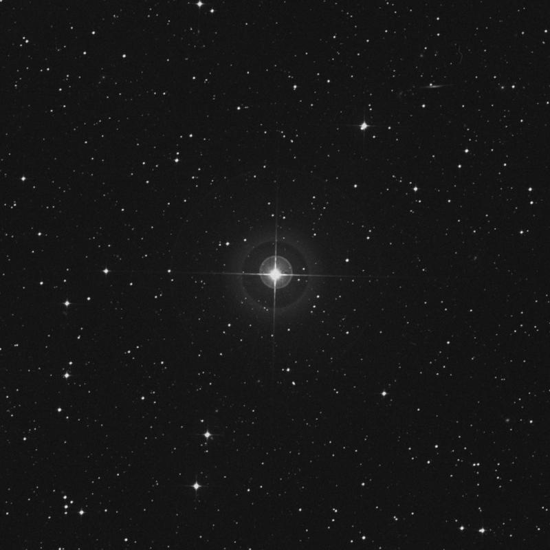 υ Pavonis (upsilon Pavonis) - Star in Pavo | TheSkyLive