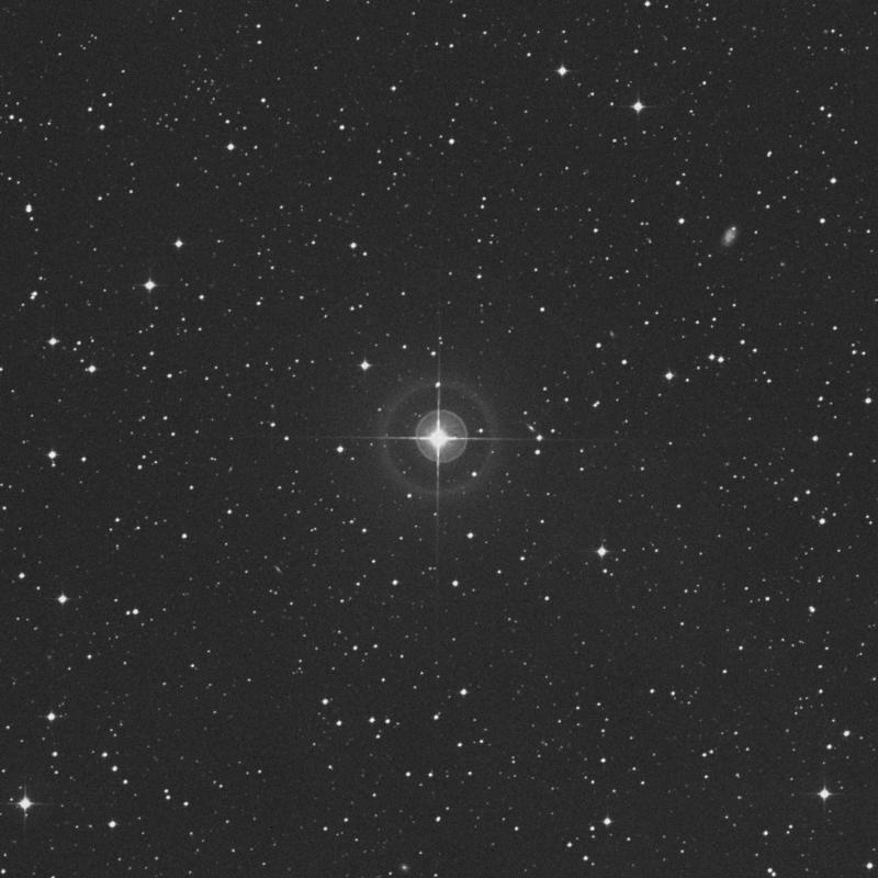 HR7910 - Star in Capricornus | TheSkyLive
