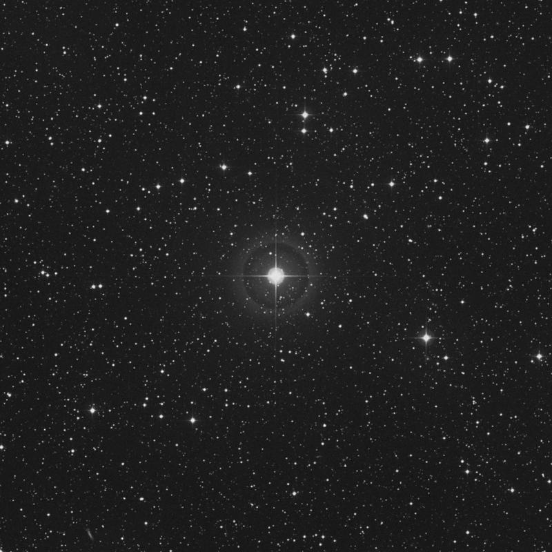 10 Delphini - Star in Delphinus | TheSkyLive