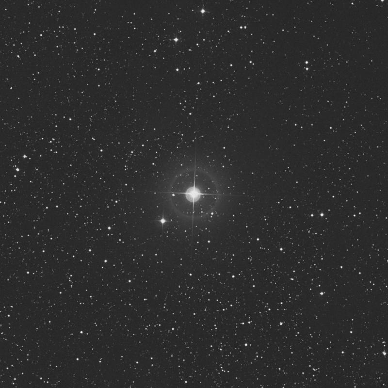 HR7944 - Star in Cepheus | TheSkyLive