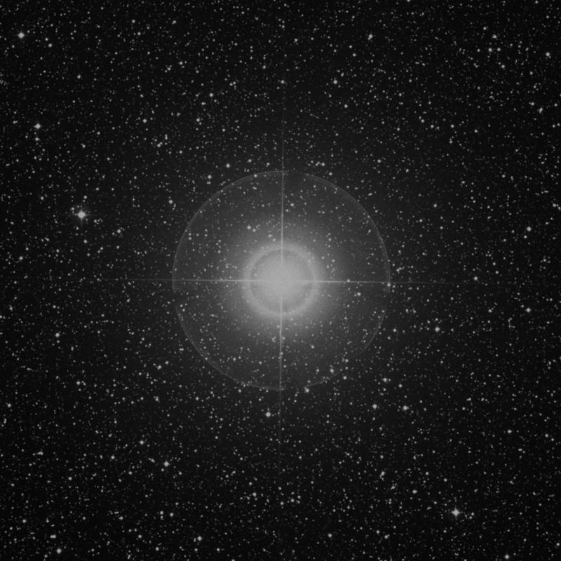 Aljanah - ε Cygni (epsilon Cygni) - Star in Cygnus | TheSkyLive