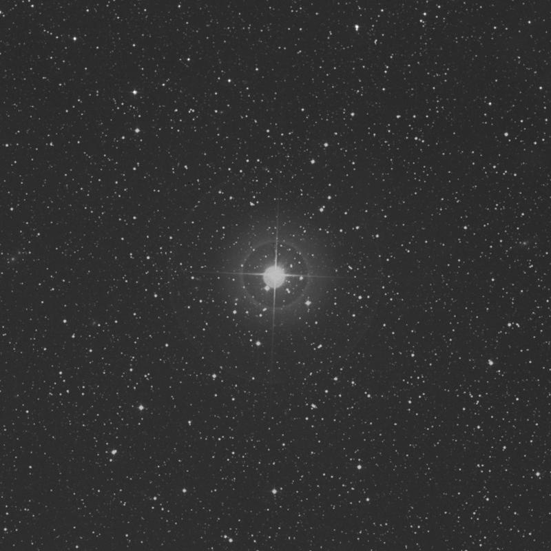 HR7955 - Star in Cepheus | TheSkyLive