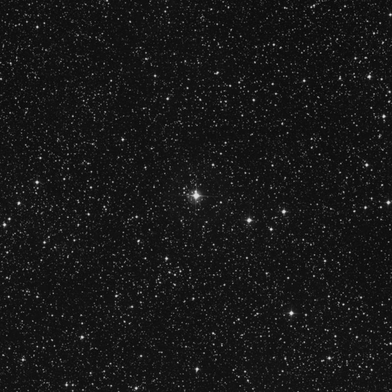 HR7983 - Star in Cygnus | TheSkyLive