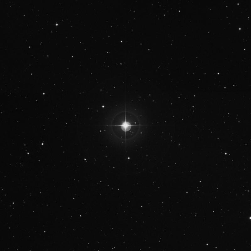 35 Arietis - Star in Aries | TheSkyLive