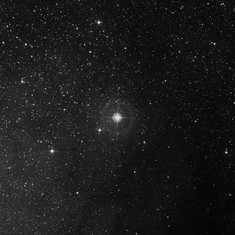 HR8003 - Star in Cygnus | TheSkyLive