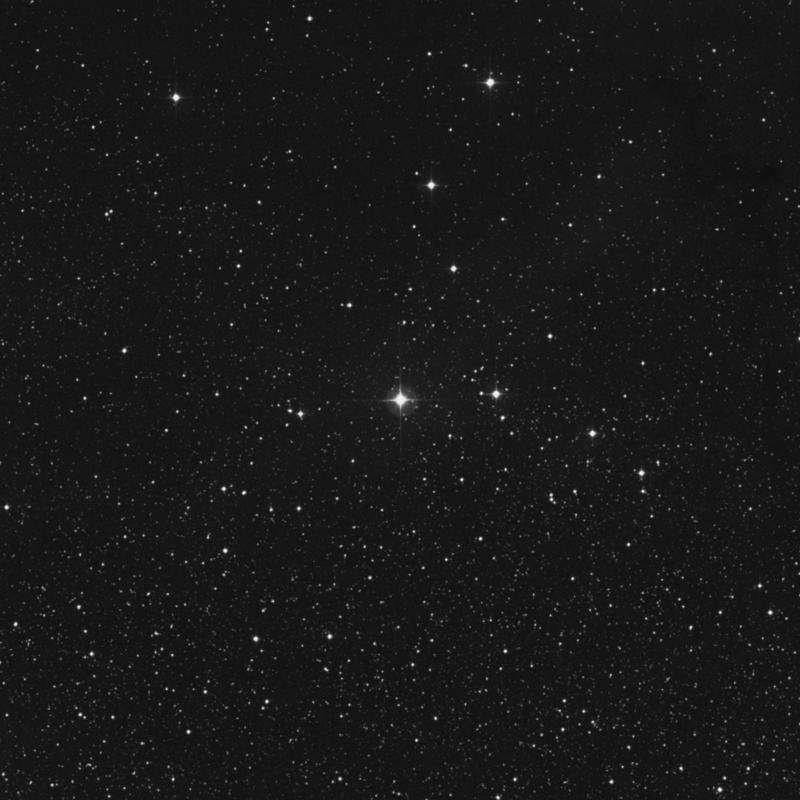 HR8009 - Star in Cygnus | TheSkyLive