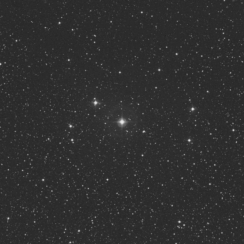 HR8029 - Star in Cepheus | TheSkyLive