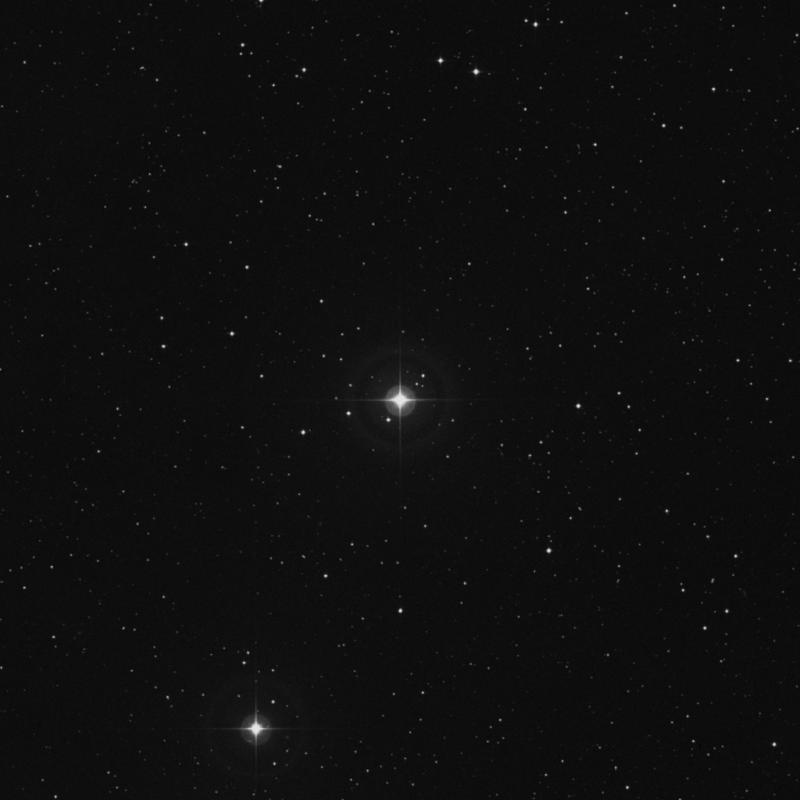 HR8043 - Star in Cepheus | TheSkyLive