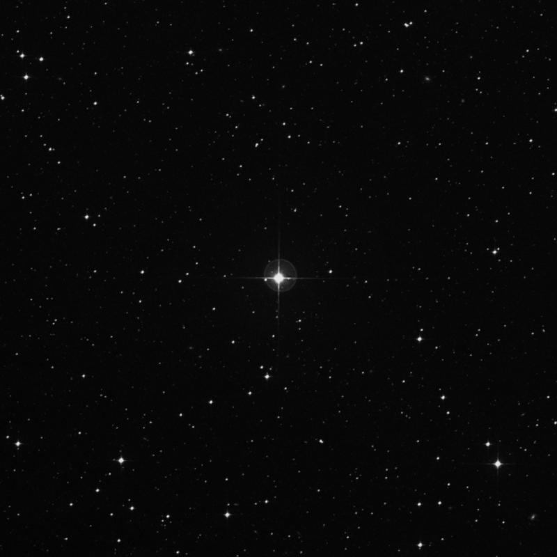 HR8045 - Star in Capricornus | TheSkyLive