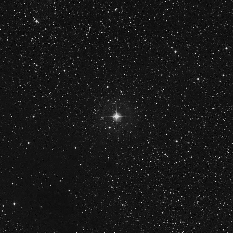 HR8065 - Star in Cepheus | TheSkyLive