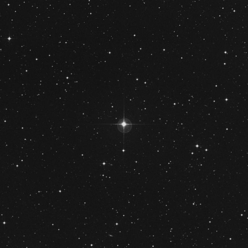 HR8083 - Star in Capricornus | TheSkyLive