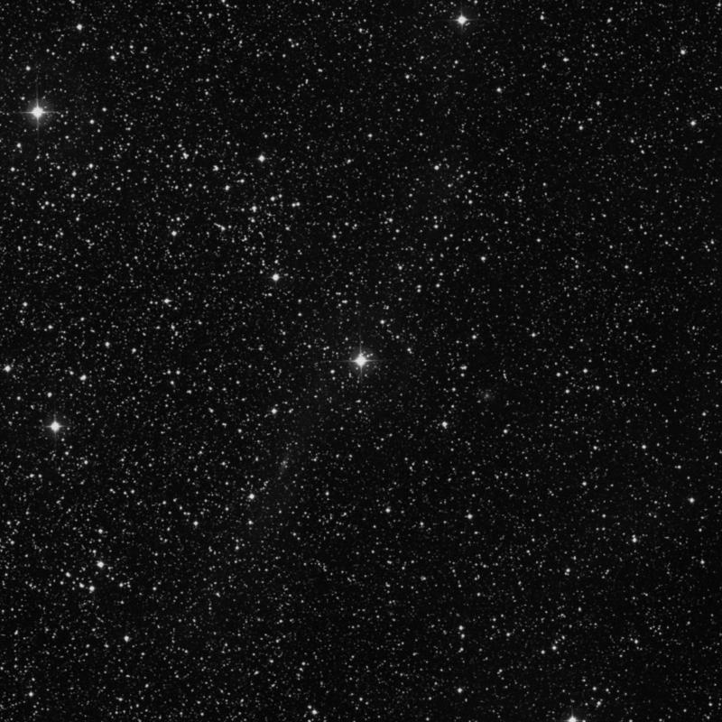 HR8103 - Star in Cygnus | TheSkyLive