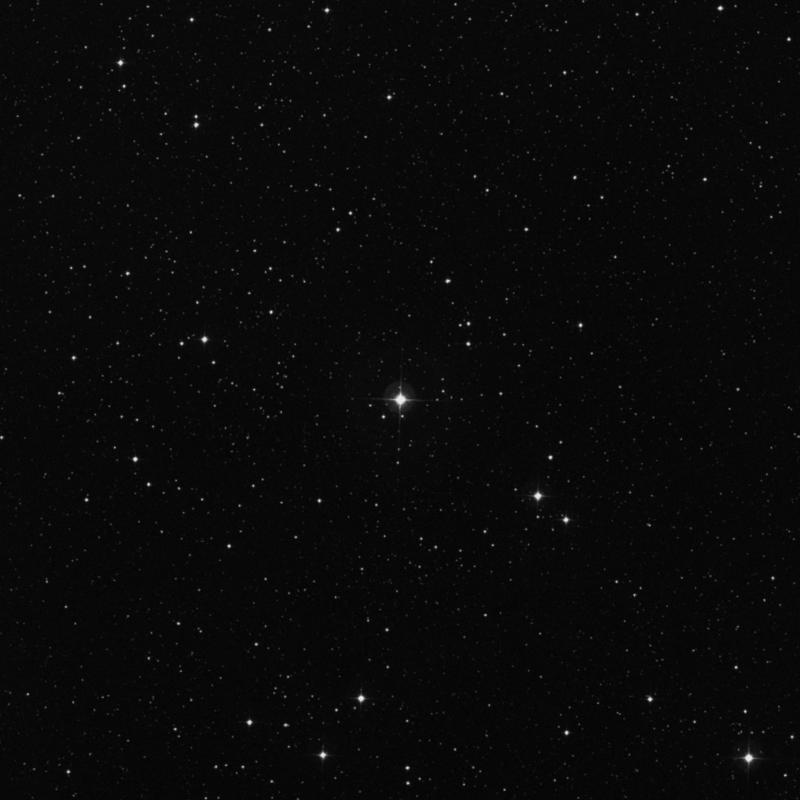 HR8109 - Star in Cepheus | TheSkyLive