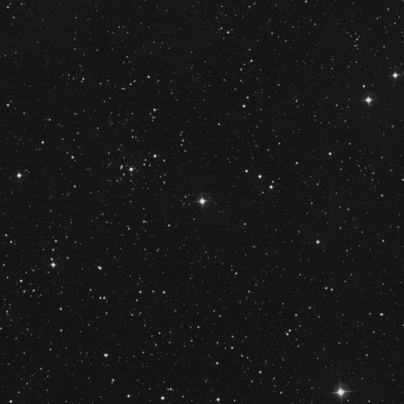 HR8113 - Star in Cepheus | TheSkyLive