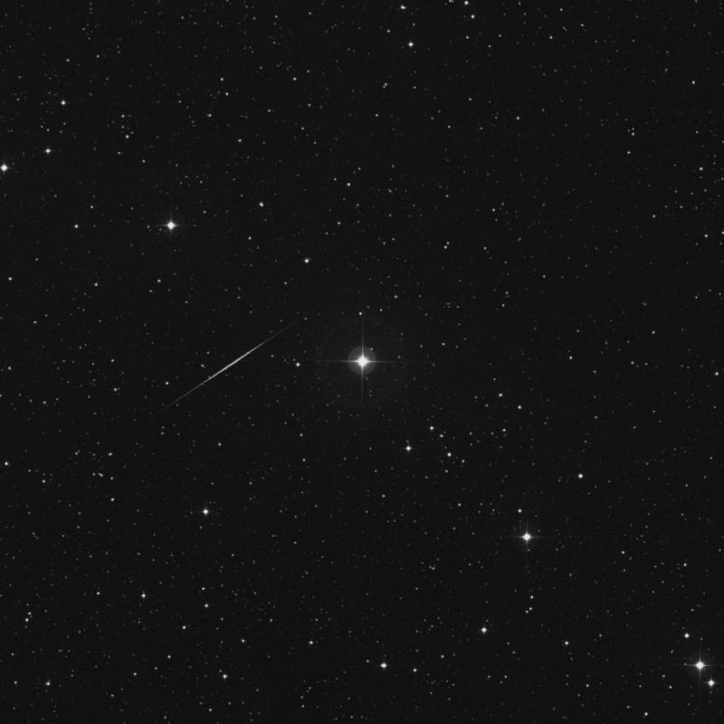 HR8133 - Star in Cepheus | TheSkyLive