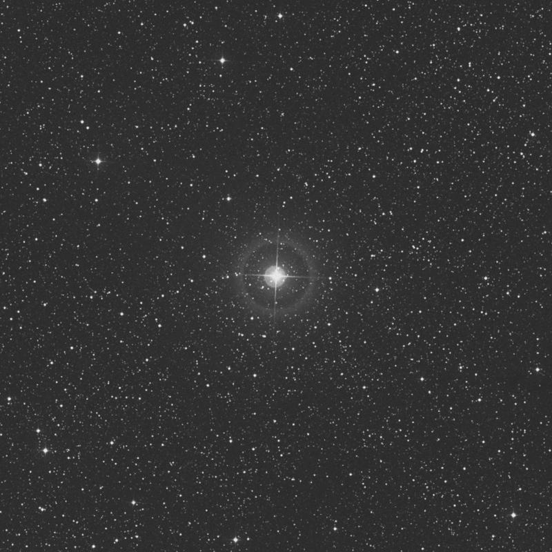 HR8150 - Star in Cepheus | TheSkyLive