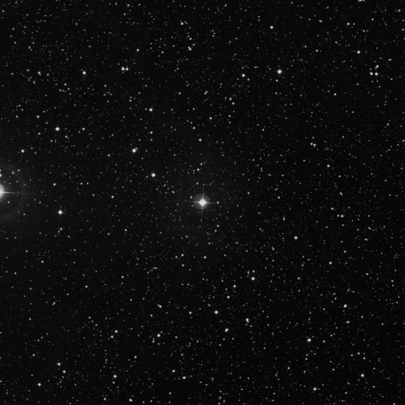 HR8153 - Star in Cepheus | TheSkyLive
