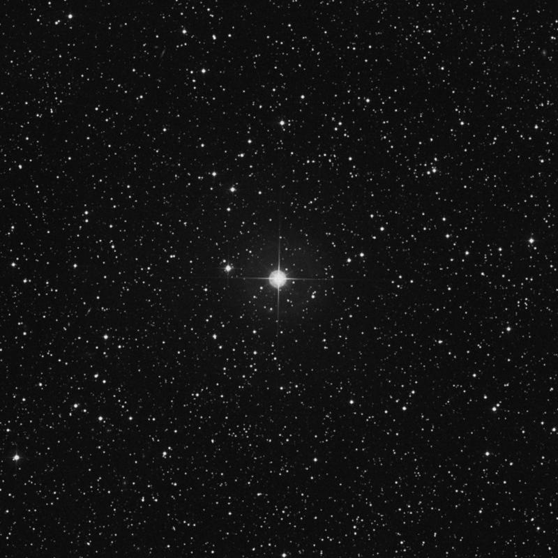 HR8182 - Star in Cygnus | TheSkyLive