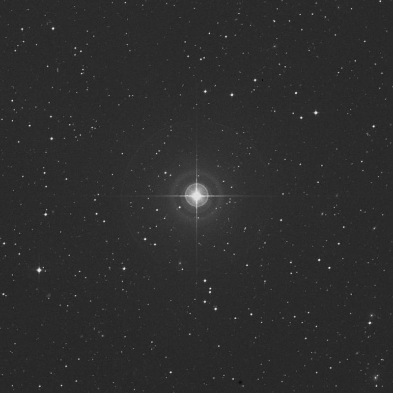 33 Capricorni - Star in Capricornus | TheSkyLive