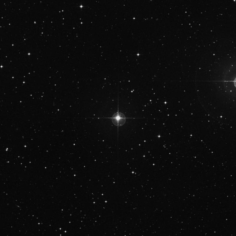 HR8184 - Star in Capricornus | TheSkyLive
