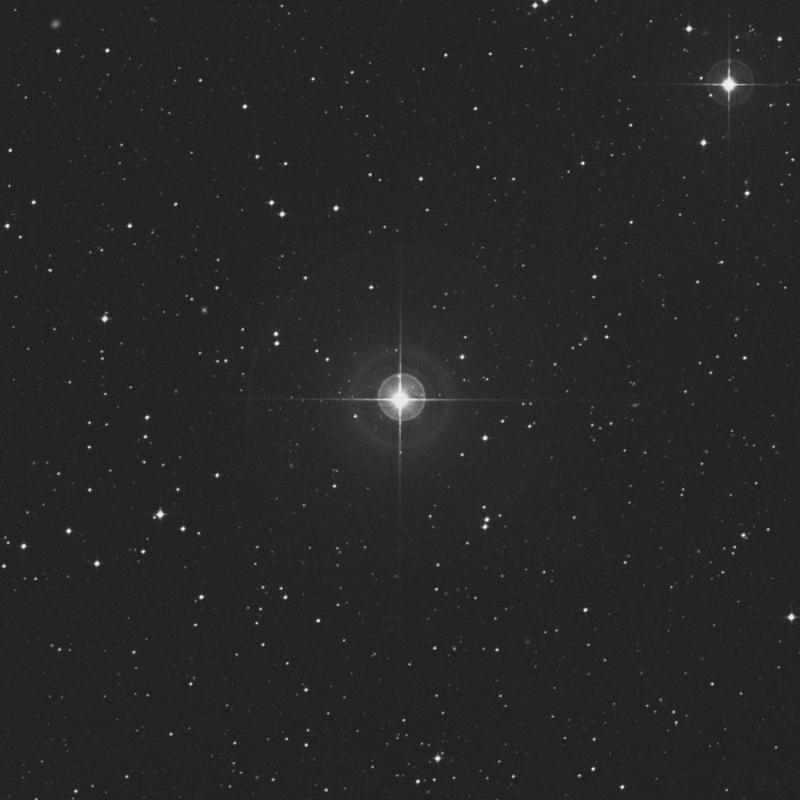 35 Capricorni - Star in Capricornus | TheSkyLive