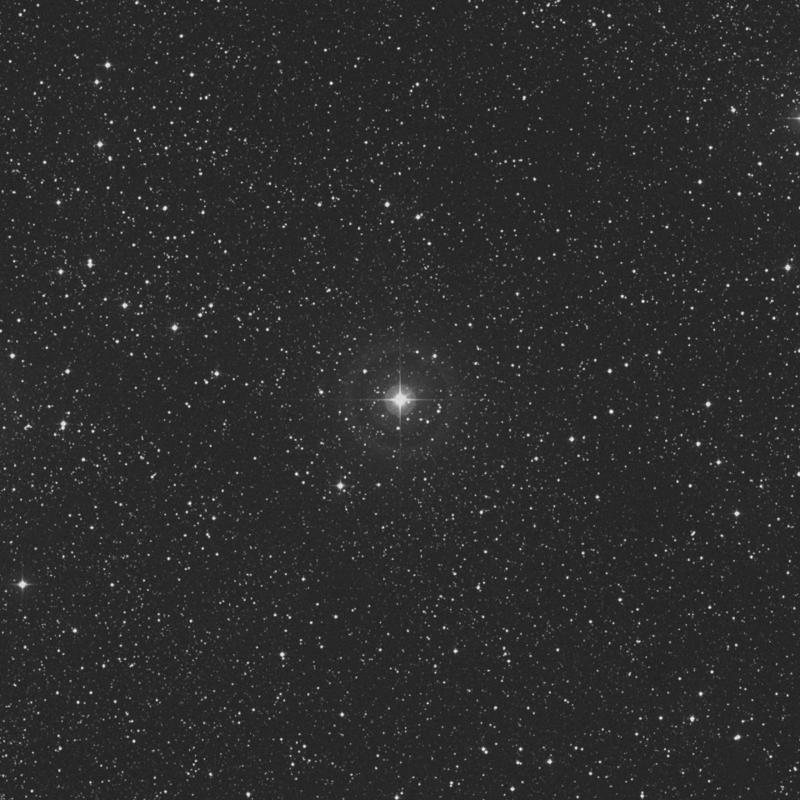 HR8226 - Star in Cepheus | TheSkyLive