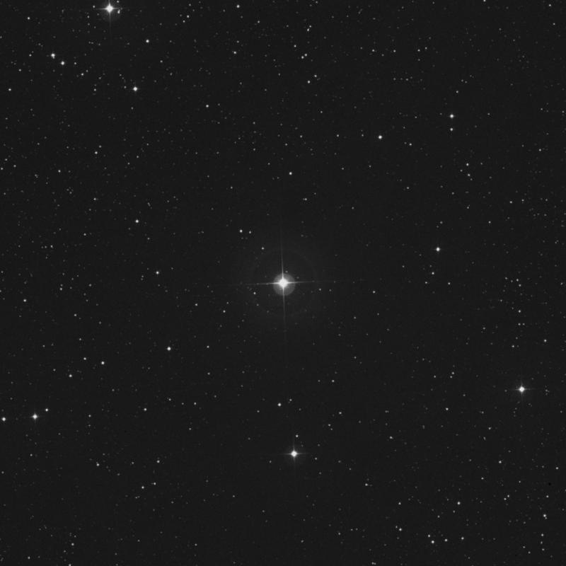 7 Cephei - Star in Cepheus | TheSkyLive