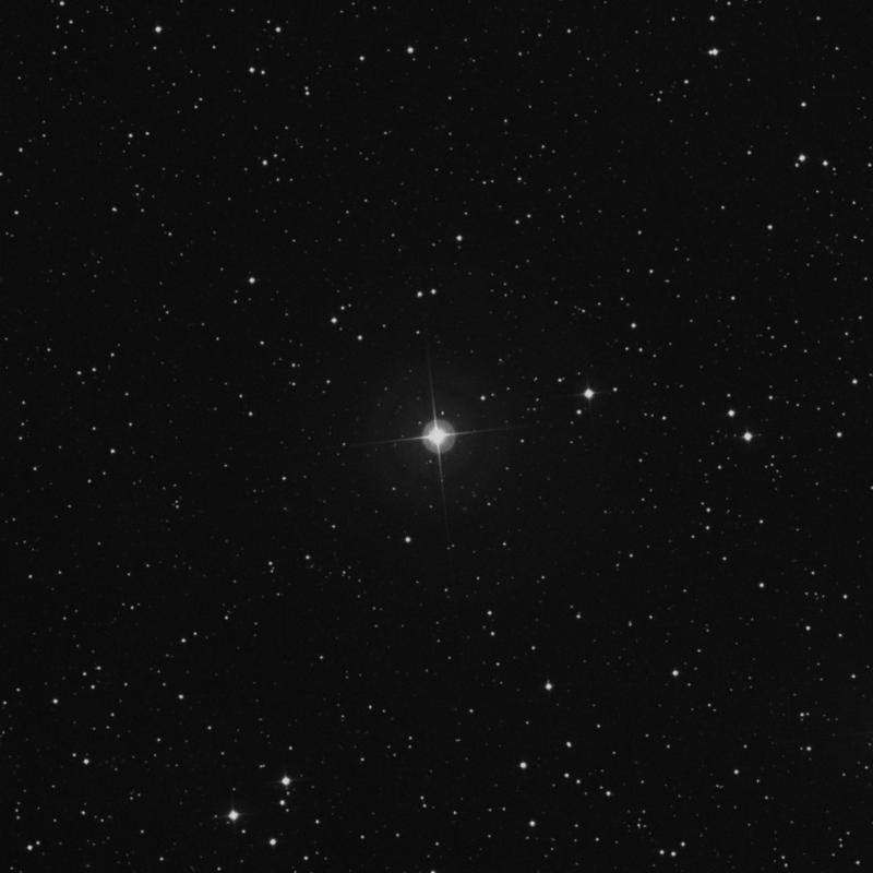 HR8239 - Star in Cepheus | TheSkyLive
