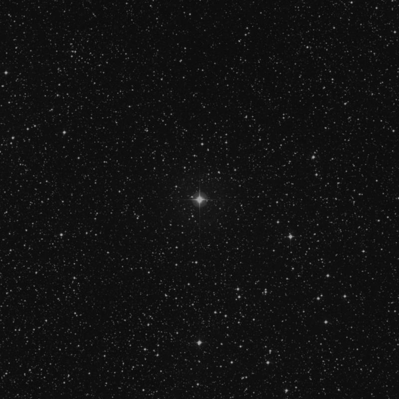 HR8246 - Star in Cygnus | TheSkyLive