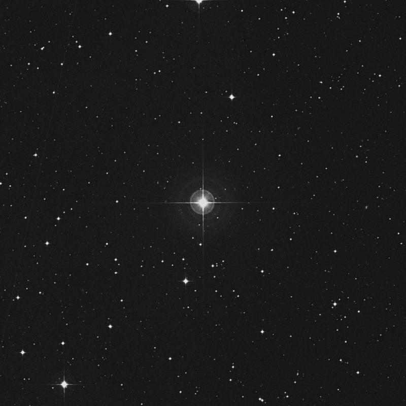 HR8273 - Star in Capricornus | TheSkyLive
