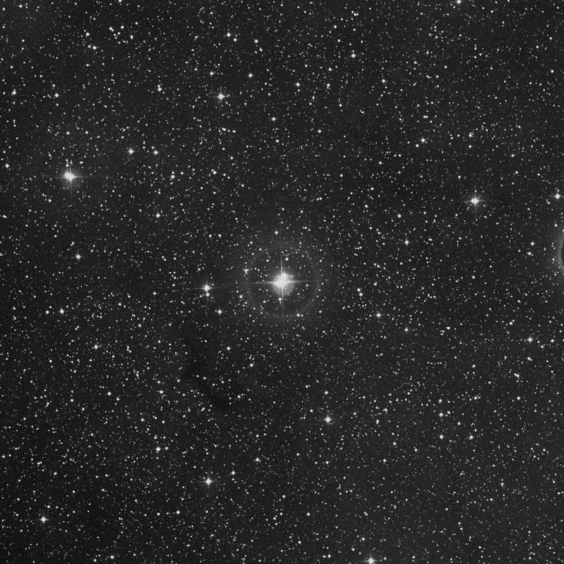 HR8281 - Star in Cepheus | TheSkyLive
