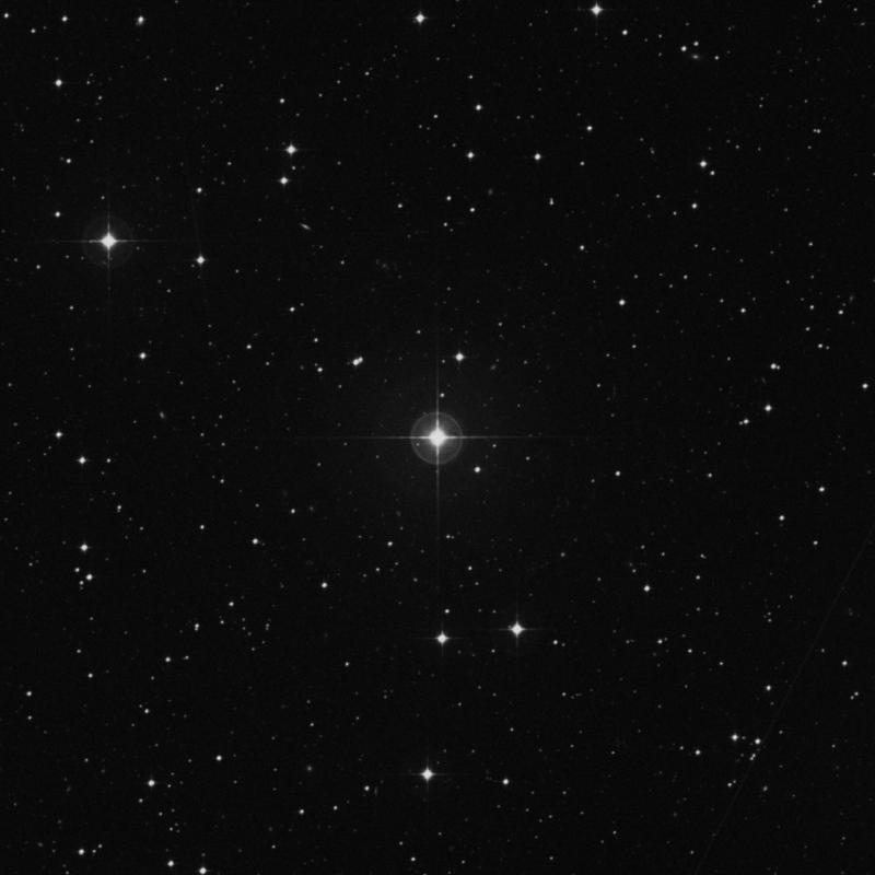 HR8293 - Star in Capricornus | TheSkyLive