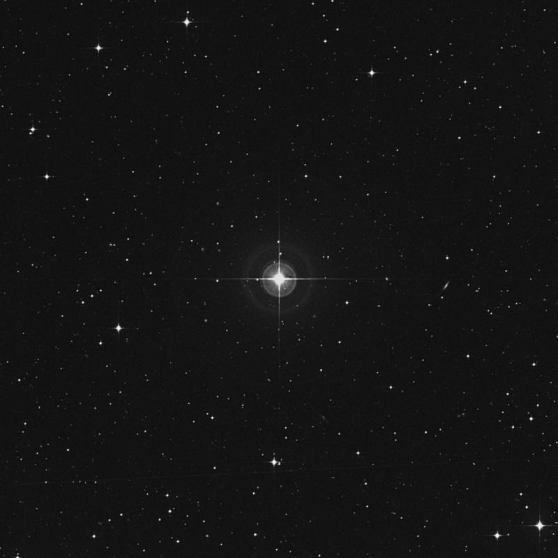 44 Capricorni - Star in Capricornus | TheSkyLive
