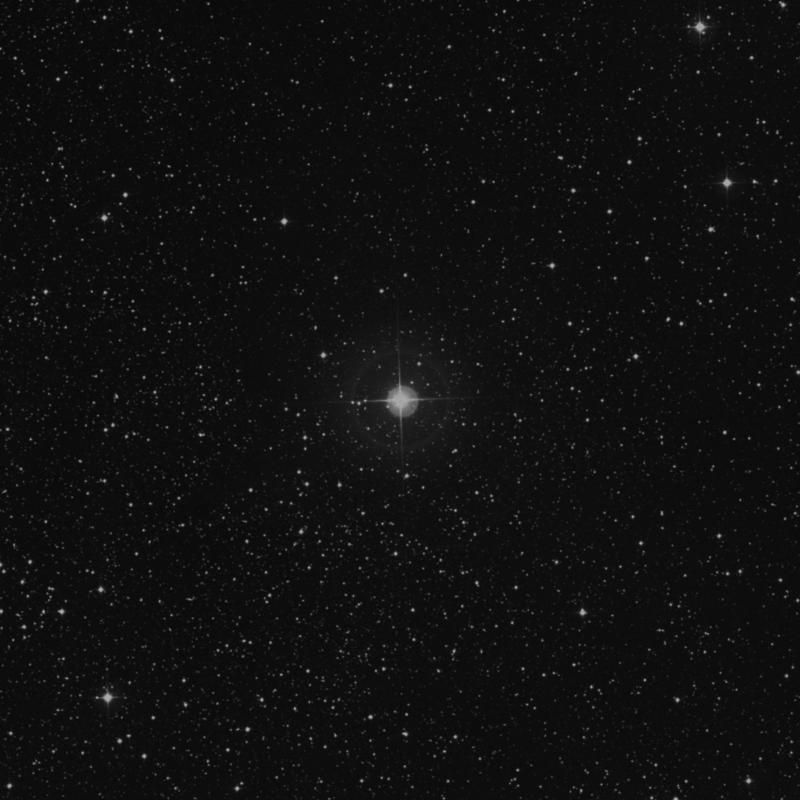 Azelfafage - π1 Cygni (pi1 Cygni) - Star in Cygnus | TheSkyLive