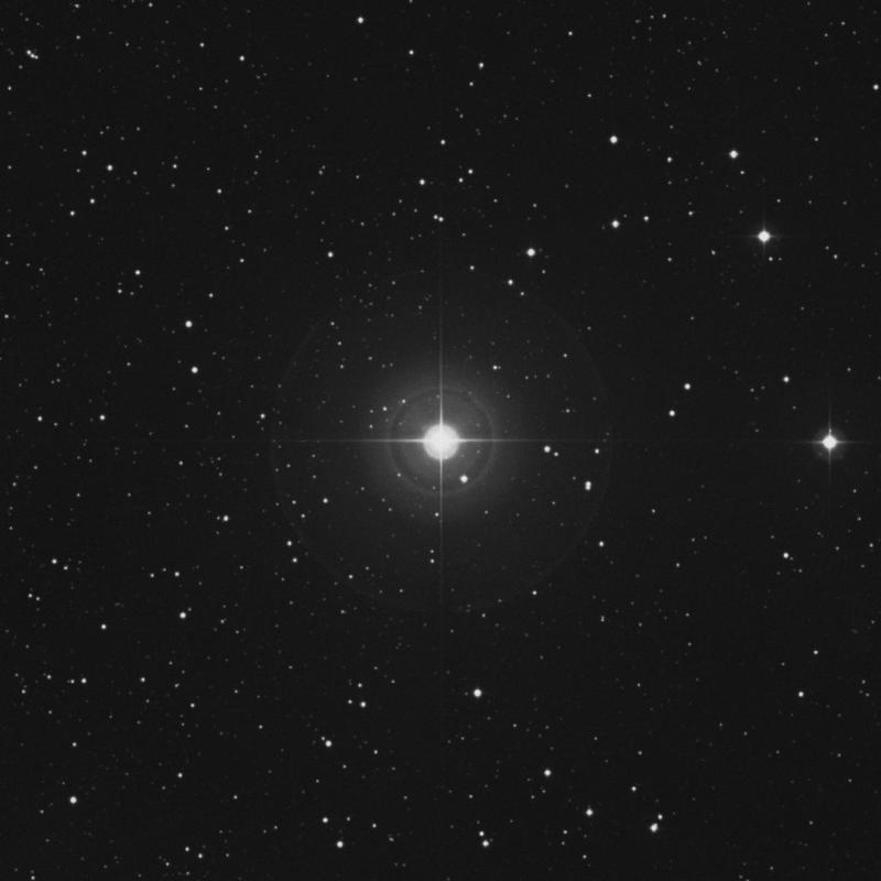 11 Cephei - Star in Cepheus | TheSkyLive