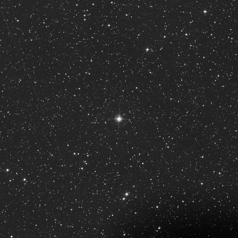 HR8329 - Star in Cygnus | TheSkyLive