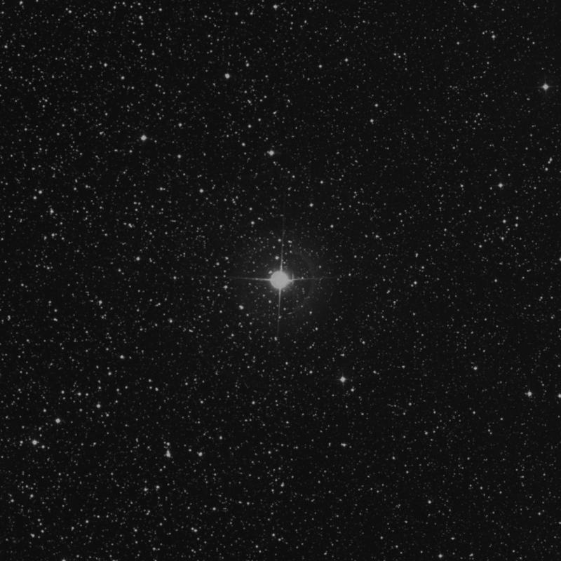 π2 Cygni (pi2 Cygni) - Star in Cygnus | TheSkyLive
