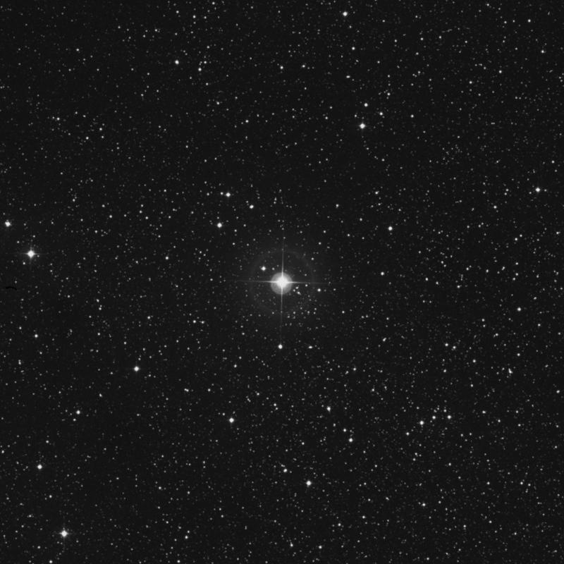 13 Cephei - Star in Cepheus | TheSkyLive