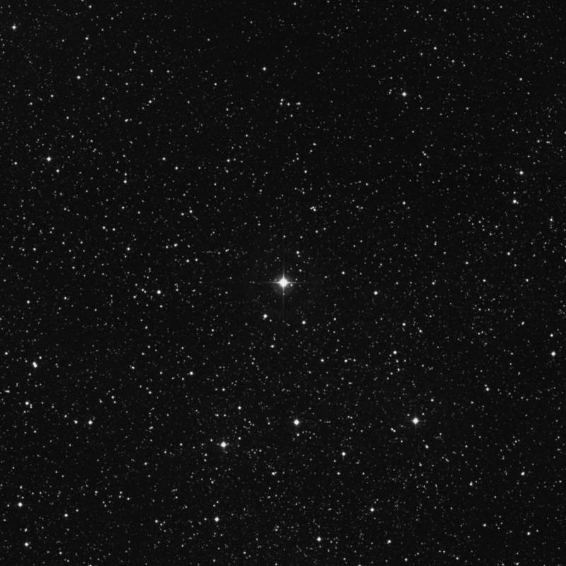 HR8389 - Star in Cepheus | TheSkyLive
