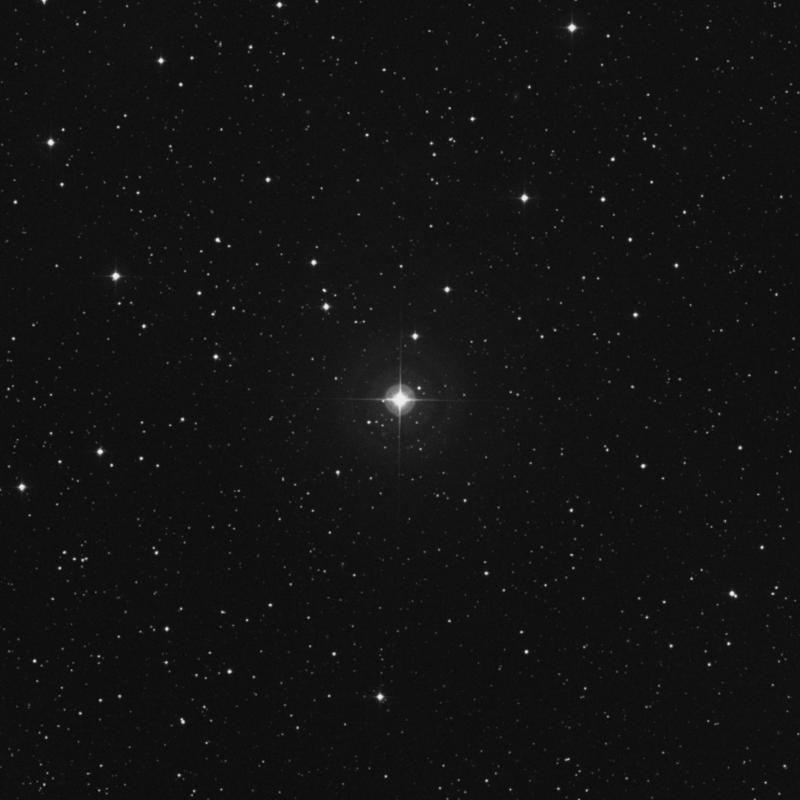 HR8395 - Star in Cepheus | TheSkyLive