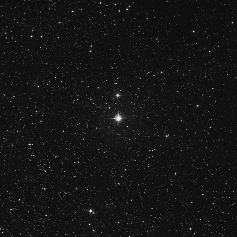 14 Cephei - Star in Cepheus | TheSkyLive